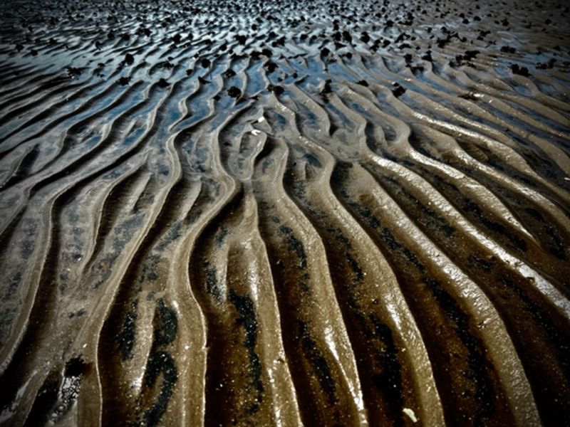 Your pictures of Scotland: 21 July to 28 July - BBC News