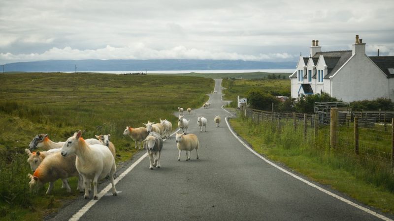 Your pictures of Scotland 17 - 24 July - BBC News
