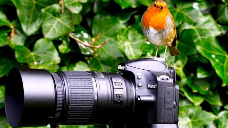 Your pictures of Scotland 17 April - 24 April - BBC News