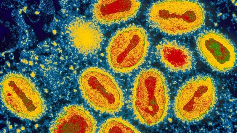 How smallpox claimed its final victim - BBC News