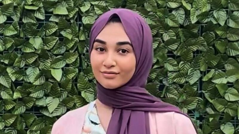 Friendly fungi help forests fight climate change - BBC News