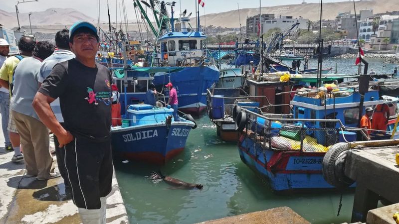 Fallo de La Haya: Bolivia Mar, la playa que Perú le cedió a Bolivia y ...