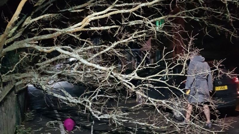 Winter weather: Thousands without power after gales hit UK - BBC News