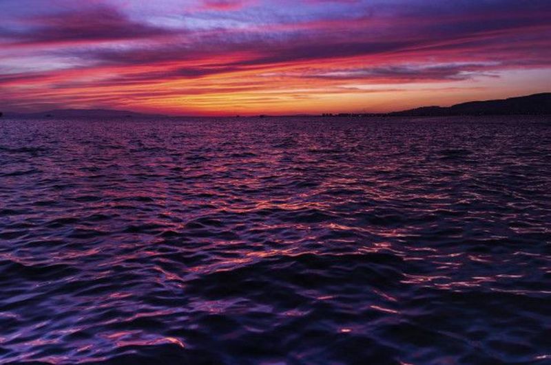 El legendario azul de Prusia, el color que puede salvar o segar vidas ...