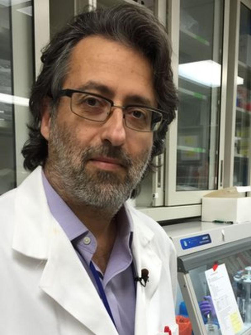 Zika virus: US scientists say vaccine '10 years away' - BBC News