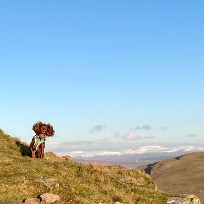 Your pictures of Scotland: 3 - 10 December - BBC News