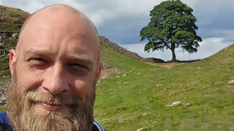 Sycamore Gap: Tree lovers talk about the impact it had on their lives ...