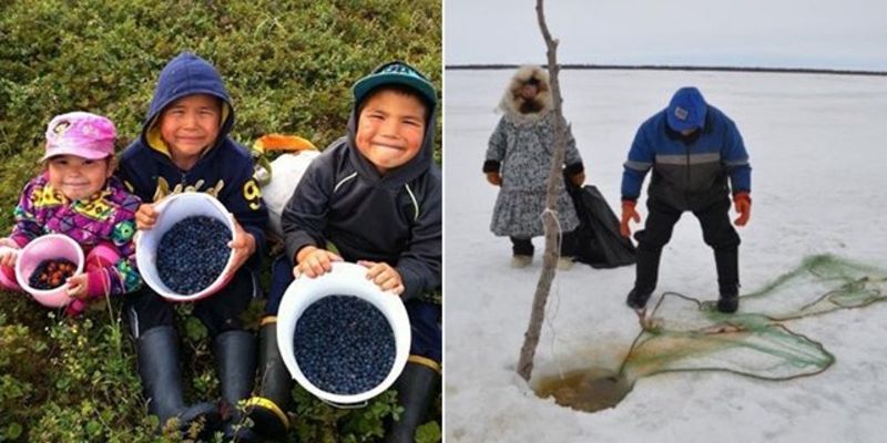 More snow and rain is falling in the Arctic - BBC News