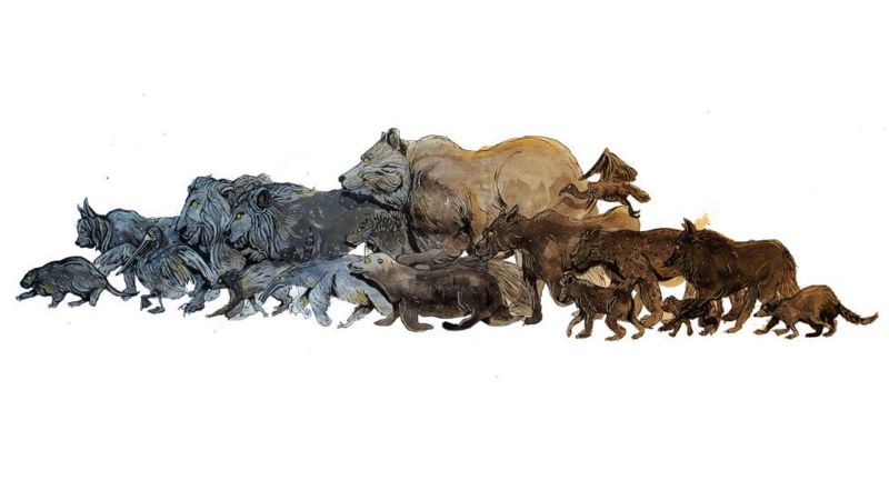 Cardiff Castle animal wall comes alive in children's book - BBC News