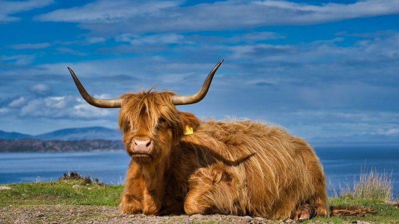 Your pictures of Scotland 4 - 11 September - BBC News