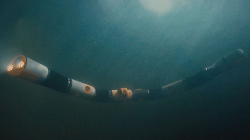 Ocean tech: Robot sea snakes and shoal-swimming subs - BBC News