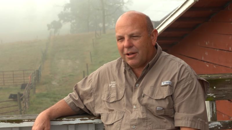 UK must accept US food standards in trade deal, says farm chief - BBC News