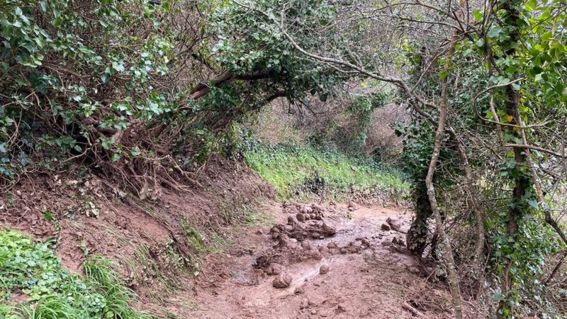 Guernsey cliff paths closed by heavy rainfall - BBC News