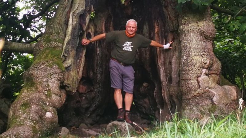 Tree hunter finishes 13 year Offa's Dyke nature walk - BBC News