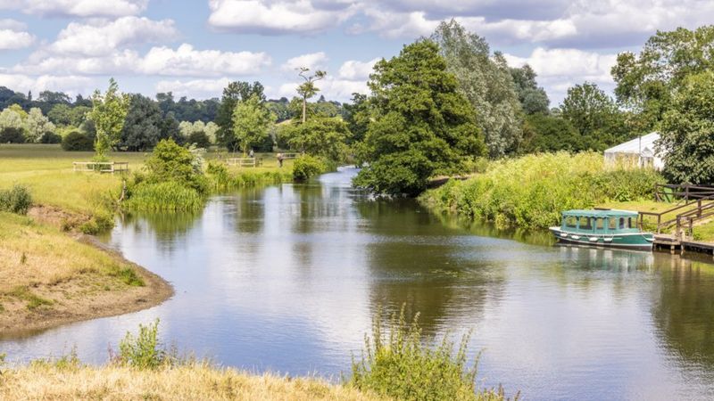 East Anglia pylons: Campaigners welcome independent review - BBC News