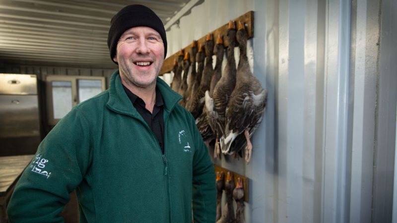 Fighting a goose invasion with guns, knives and forks - BBC News