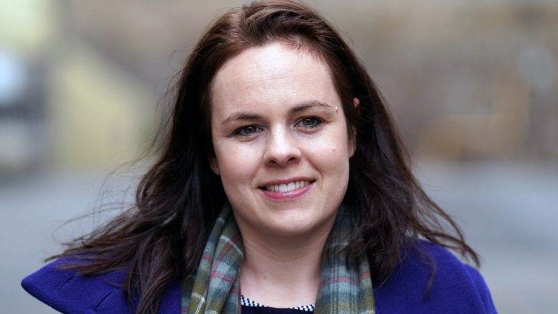 General election is the same as independence vote - Regan - BBC News