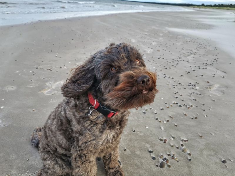 Your pictures of Scotland: 5-12 November - BBC News