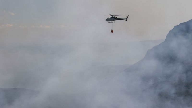 Mount Kenya wildfire: Marijuana farmers blamed - BBC News