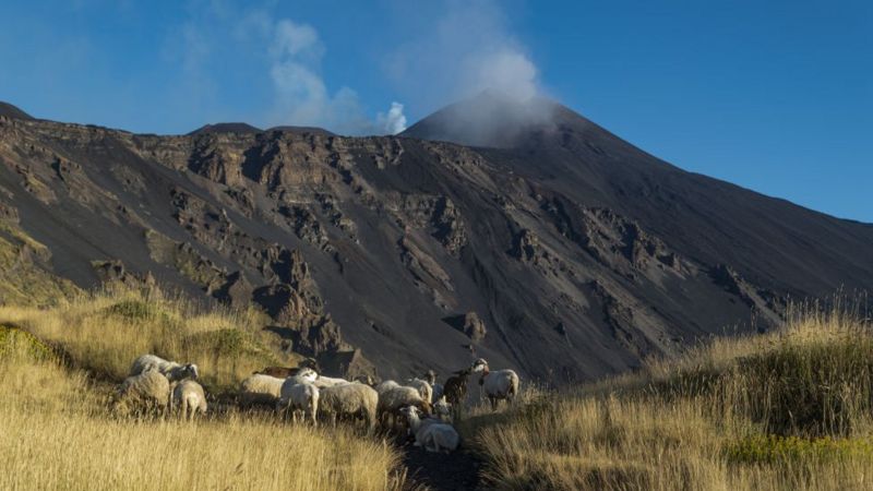 Mount Etna: Catania airport closed volcano in pictures - BBC Newsround