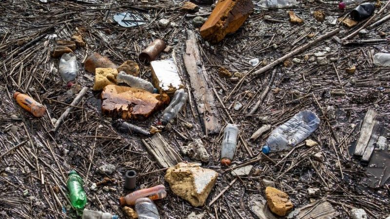 Nature loss: Watchdog highlights 'precarious state' of environment ...