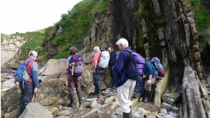 Scottish fossils tell story of first life on land - BBC News