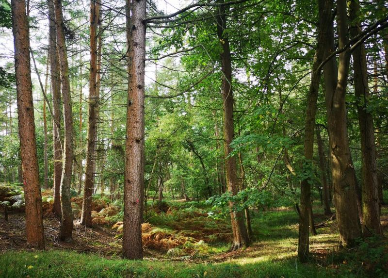 England's Big Picture: 2 October - 8 October 2023 - BBC News