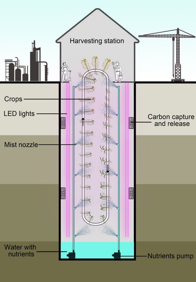 Old coal mines can be 'perfect' underground food farms - BBC News