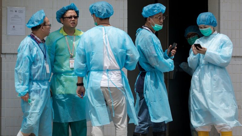 Kasus flu babi Afrika, Hong Kong mulai musnahkan 6.000 babi - BBC News ...