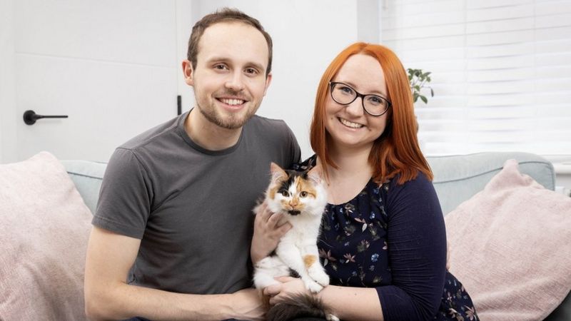 National Cat Awards 2023: Meet the finalists! - BBC Newsround