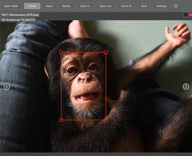 Facial recognition tool tackles illegal chimp trade - BBC News