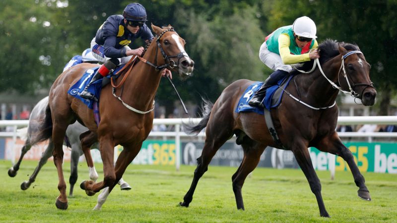 Horse Racing - Latest news, fixtures & schedule - BBC Sport