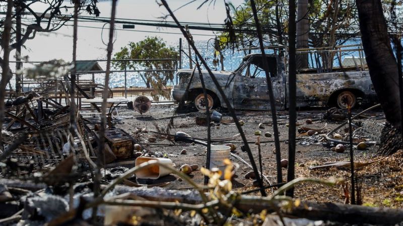 Maui fire: First victims named as death toll reaches 111 - BBC News
