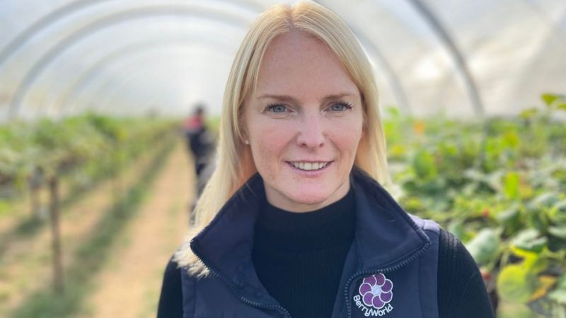 Charity urges help for farmers to donate surplus crops - BBC News