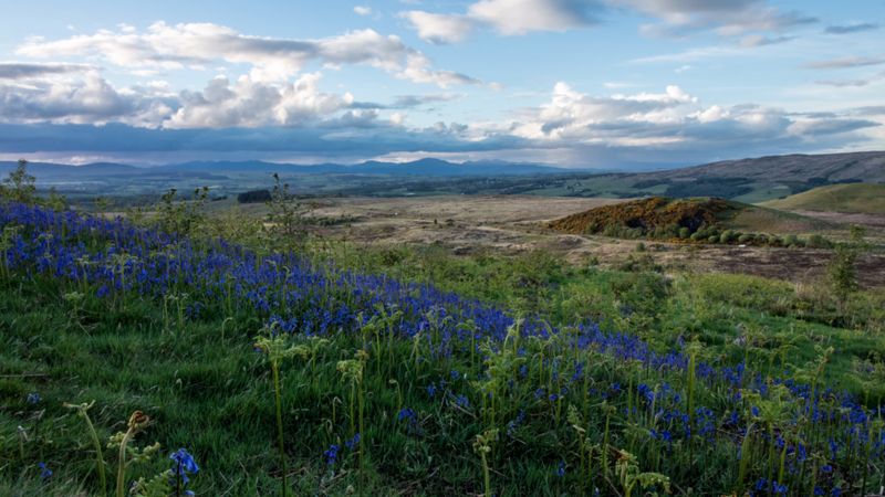Your pictures of Scotland - 9 to 16 June - BBC News