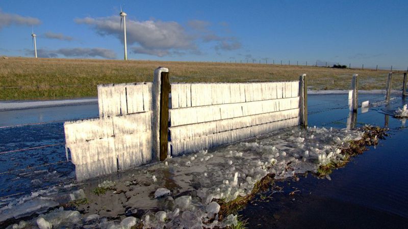 Your pictures of Scotland: 15-22 January - BBC News