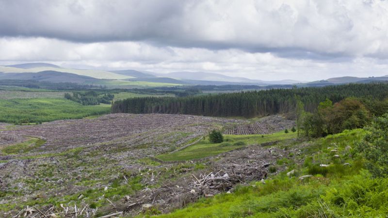 Climate change: Scotland to set faster target for net-zero emissions ...