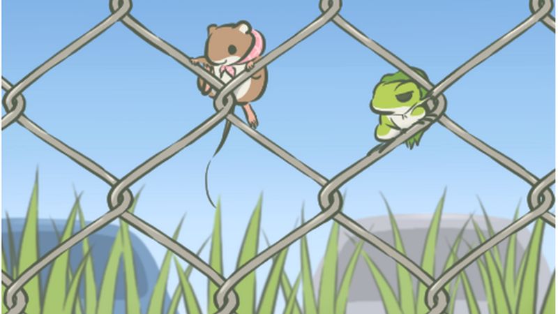 Travel Frog: The cute Japanese game that has China hooked - BBC News