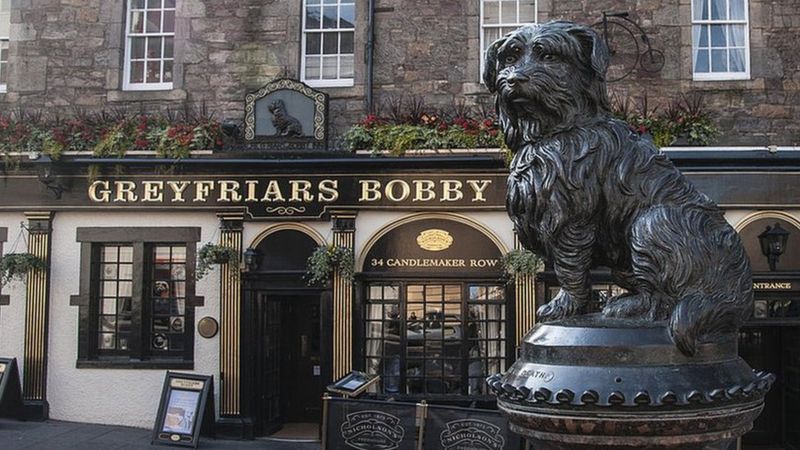 Greyfriars Bobby film star dog honoured in Edinburgh - BBC News
