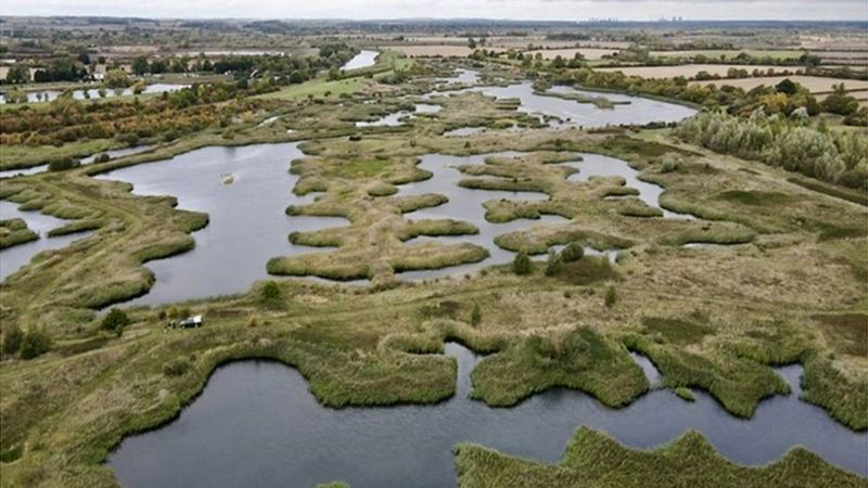 RSPB hails Langford Lowfields wetland handover as milestone - BBC News