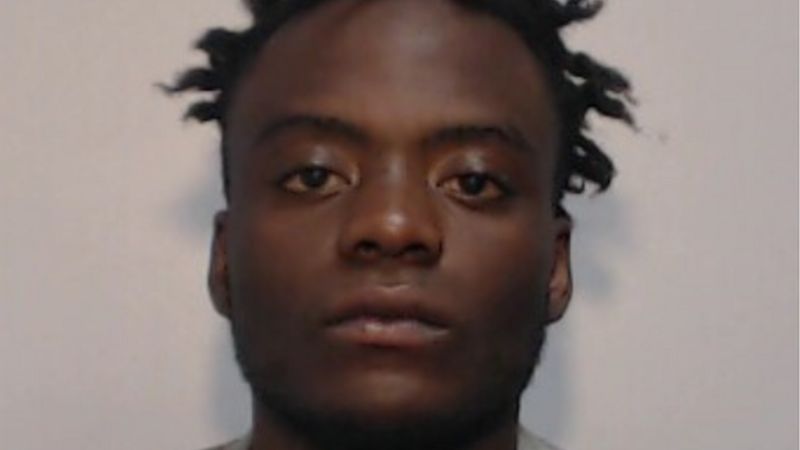 Man raped woman in woods and attacked passing dog walker - BBC News