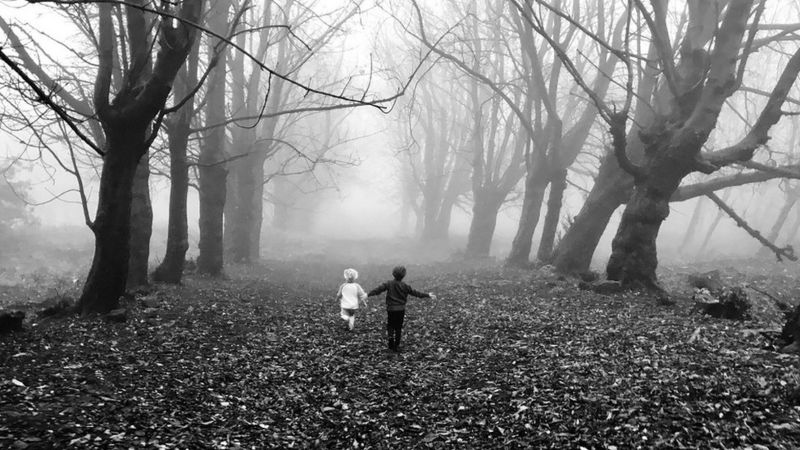 Your pictures of Scotland 20 - 27 November - BBC News