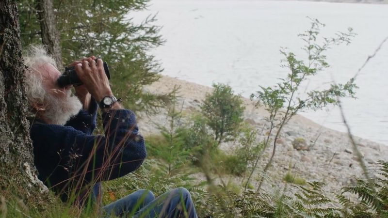 The man who has lived as a hermit for 40 years - BBC News