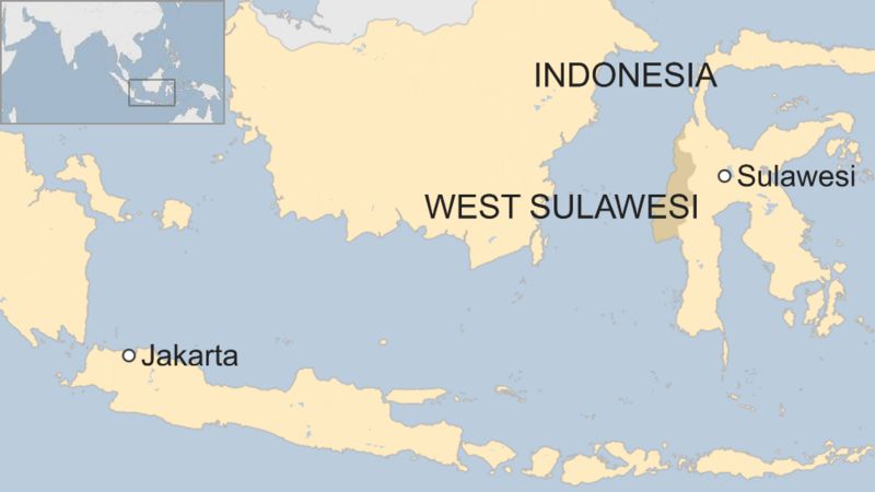 Indonesian man's body found inside python - police - BBC News