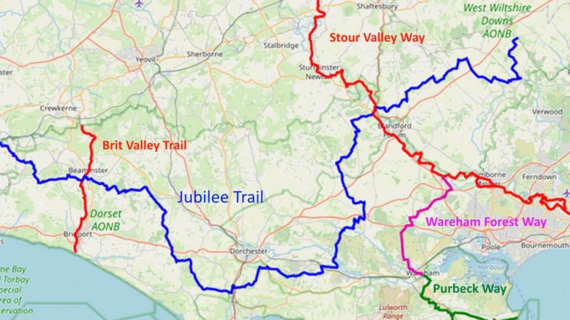 Dorset plans for continuous line of hedge across county - BBC News