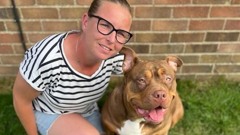 Man killed in Stonnall American bully XL attack named - BBC News