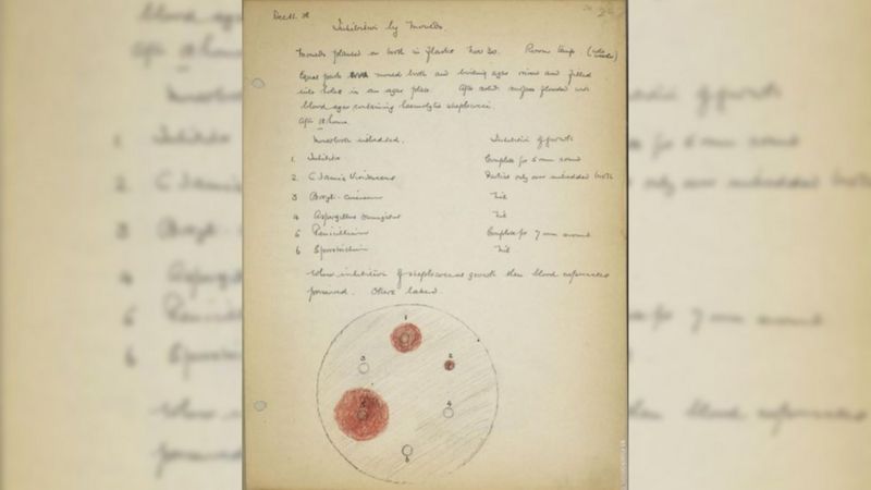90 years since discovery of penicillin: Sir Alexander Fleming's great ...