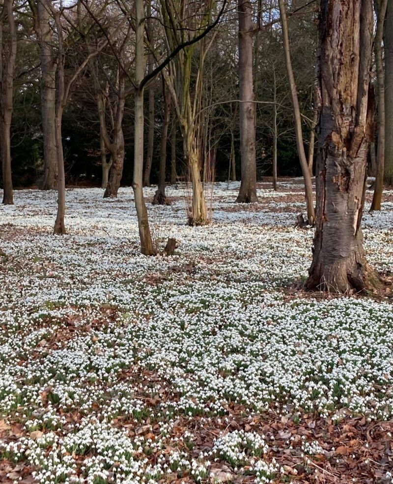England's Big Picture: 20 February - 26 February 2023 - BBC News