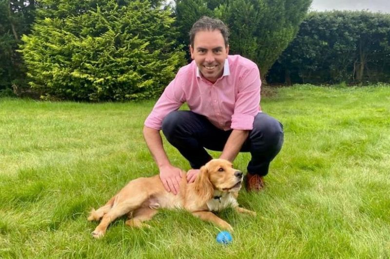 Scottish parliament bid to make dog abduction a new crime - BBC News