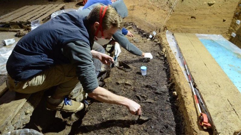 Neanderthal remains unearthed in Italian cave - BBC News